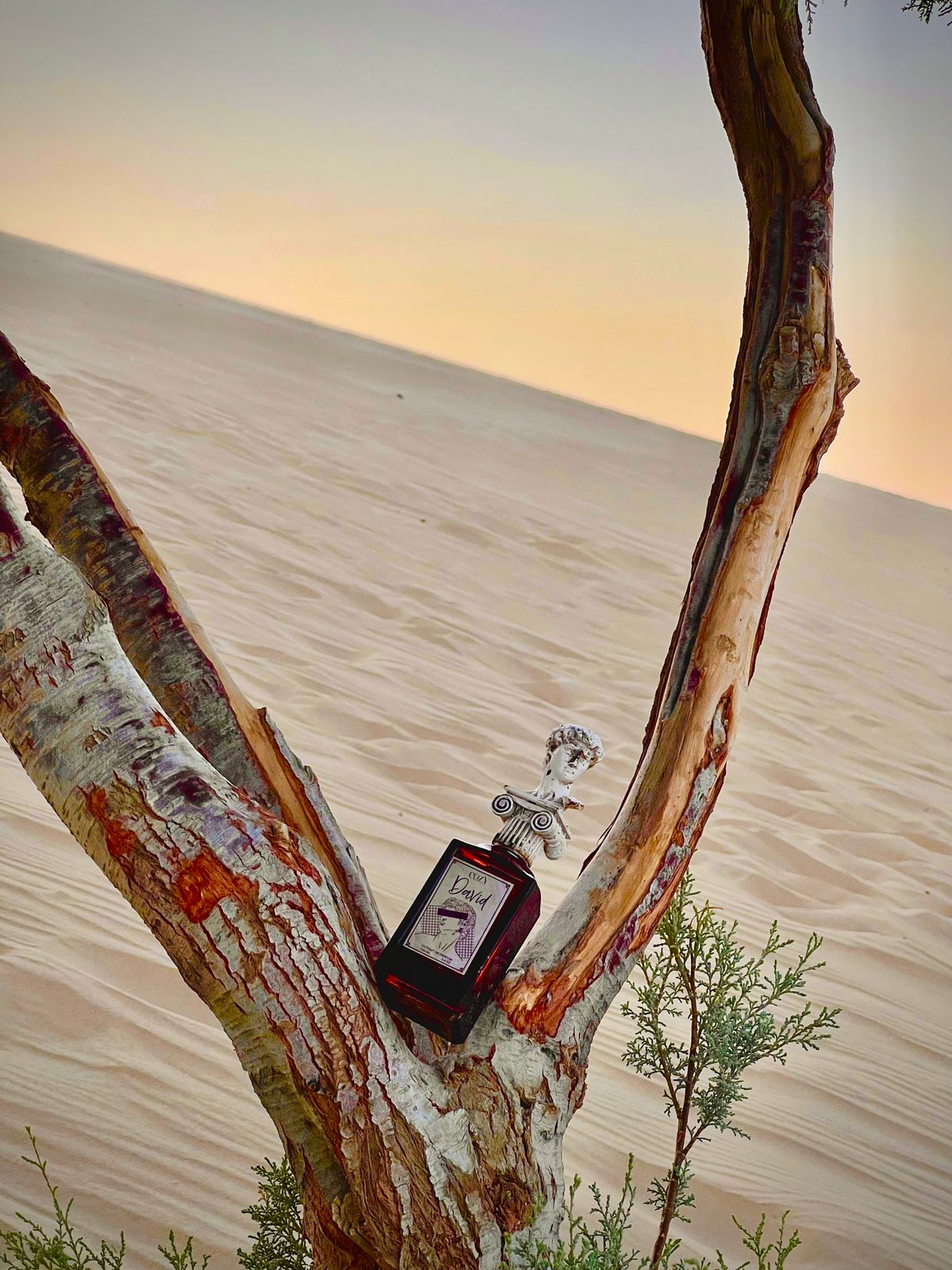 Home Page – Cozy Fragrances